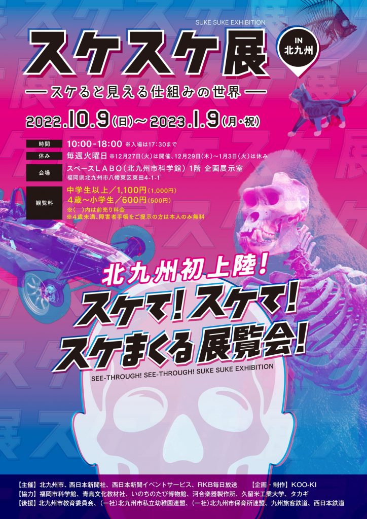 【北九州のイベント】(終了間近) スペースLABO「スケスケ展 in 北九州」 (八幡東区) | kitakyu-net_press